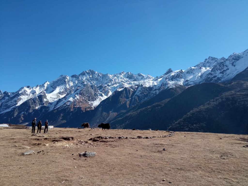 Langtang Trek Safety Guide 2026: Essential Tips for a Safe Himalayan ...