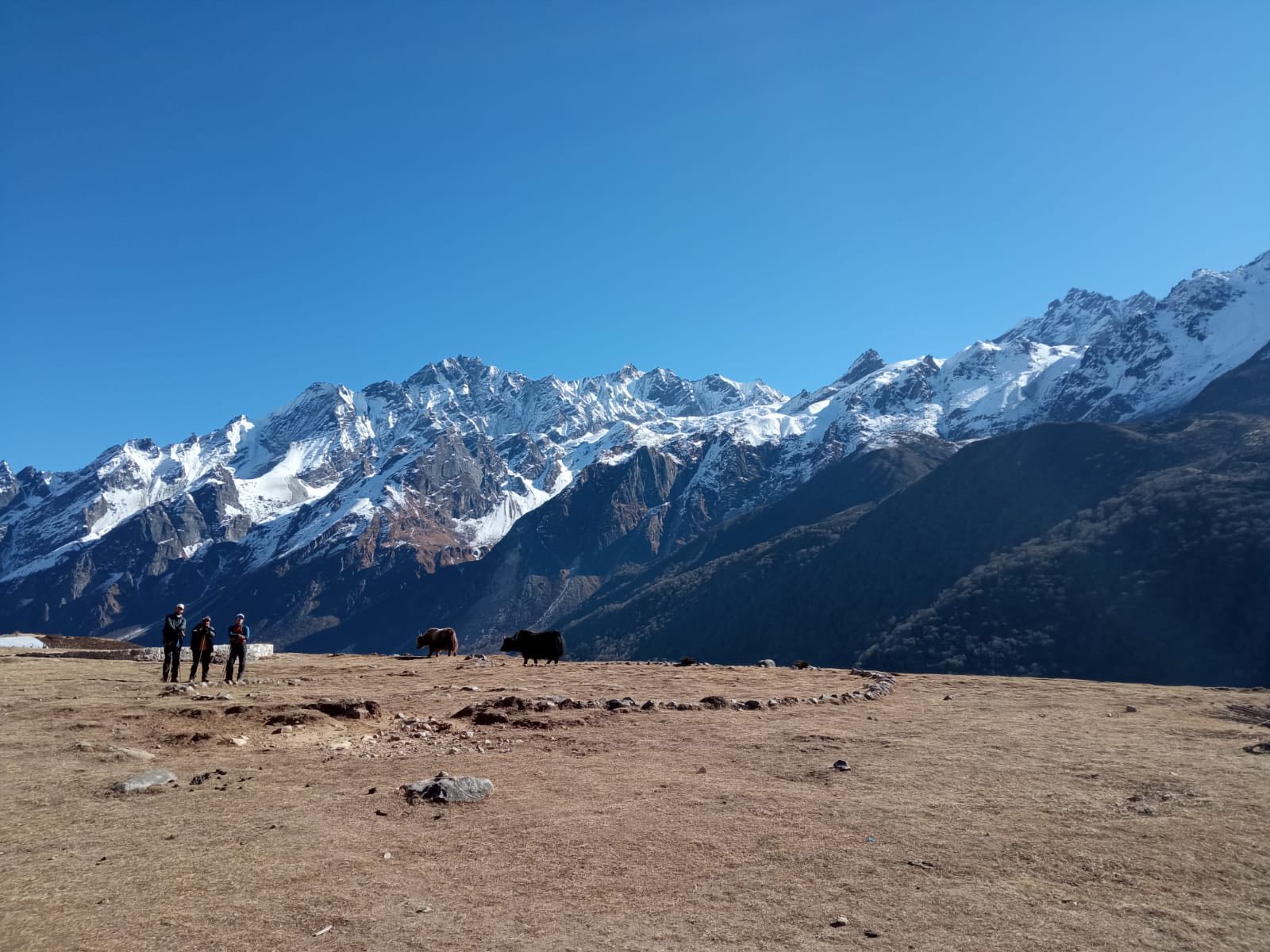 Langtang Trek Safety Guide 2026: Essential Tips for a Safe Himalayan ...